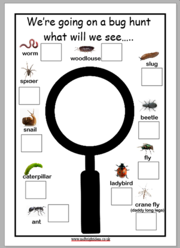 We’re going on a bug hunt with window – ASD Bright Ideas